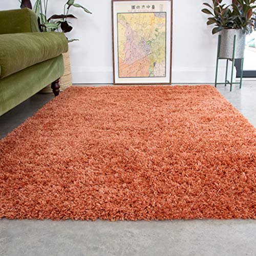 Terracotta Thick Shaggy Rug Orange Plush Affordable Super Soft Fluffy Shag Rugs Living Room Area Bedroom 5'3" x 7'6"