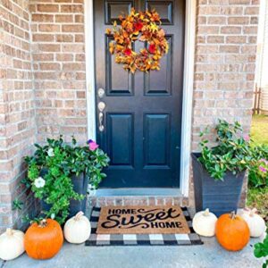 Buffalo Plaid Rug 24 x 36 Inch for Layered Hello Door Mats Washable Black and White Checked Indoor or Outdoor Rugs Carpet for Front Door Entryway