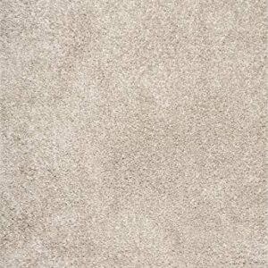 nuLOOM Belleza Shag Area Rug, 3' x 5', Beige