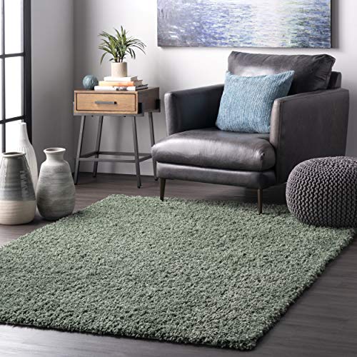 nuLOOM Belleza Shag Accent Rug, 2' x 3', Green