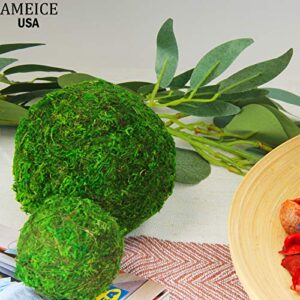 AMEICE Moss Balls Decorative Authentic Real Preserved Moss Hanging Balls for Garden Patio Home Table Decor Party &Weddings Display Props Farmhouse Style Décor（2.4" Green 12Pcs）