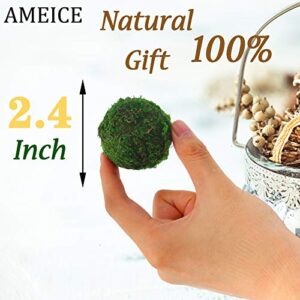 AMEICE Moss Balls Decorative Authentic Real Preserved Moss Hanging Balls for Garden Patio Home Table Decor Party &Weddings Display Props Farmhouse Style Décor（2.4" Green 12Pcs）