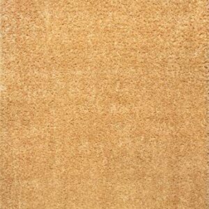 nuLOOM Belleza Shag Area Rug, 3' x 5', Yellow