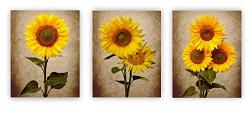 Barri Design Sunflower Decor Wall Art Prints Set of 3(8" x 10" Sunflowers Canvas Wall Art Sunflower Wall Pictures for Bedroom Kitchen Living Room Wall Decorations (Unframed)