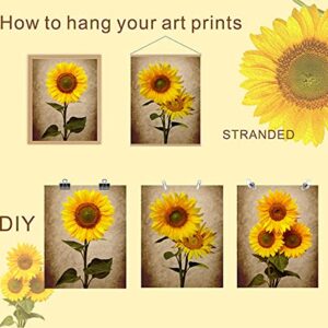 Barri Design Sunflower Decor Wall Art Prints Set of 3(8" x 10" Sunflowers Canvas Wall Art Sunflower Wall Pictures for Bedroom Kitchen Living Room Wall Decorations (Unframed)