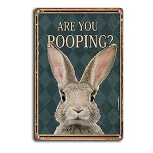 dphgqgk rabbit poster funny rabbit decor bathroom decor bathroom art nursery decor rabbit lover gift metal vintage tin sign 8x12inch