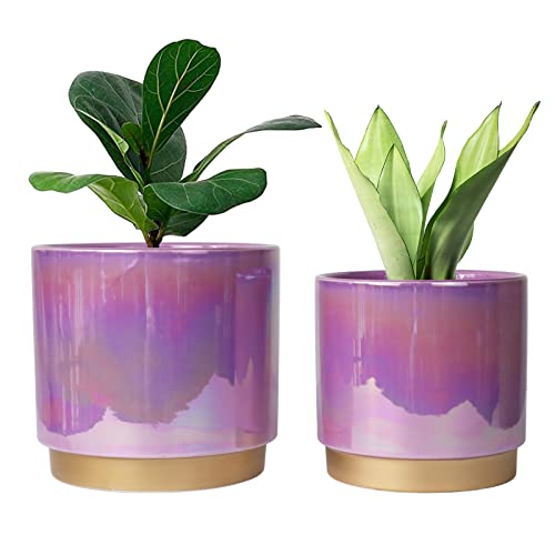 YQSLYSF Ceramic Planter for Plants with Drainage Hole, 6.0 inch+5.0 Inch Flower Pot, Rainbow Purple Glazed, Indoor-Outdoor Large Round Succulent Orchid Pots Set