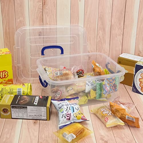 Vcansay 8 L Clear Plastic Storage Box with Handles, 2 Packs