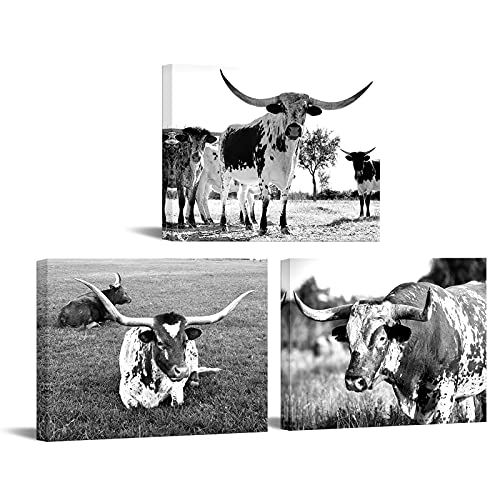 Nachic Wall 3 Pieces Animal Canvas Wall Art Black and White Texas Longhorn Pictures Highland Cattle Canvas Painting Prints for Living Room Farmhouse Cabin decor