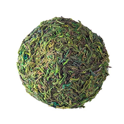 Ka Home Decorative Green Moss Balls Set of 6 - Natural Orbs for Centerpiece, Tray, Bowl or Table Decorations - Artificial Moss Decor Spheres - 3.5 inch Each