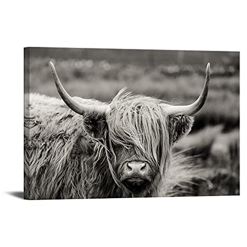 iKNOW FOTO Black and White Canvas Wall Art Highland Cow Cattle Picture Prints Texas Longhorn Painting Farm Animal Artwork for Home Decor Modern Living Room Bedroom Decorations Ready to Hang 32x48inch