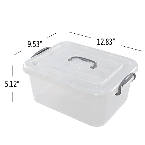 Fiazony 8 L Plastic Clear Storage Box, 2-Pack Storage Latch Box with Lid