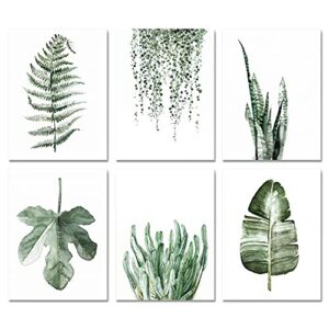 plant prints unframed posters wall art for living room decor, 8×10 poster canvas prints set of 6, botanical prints wall art leaf posters sage green decor