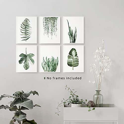 Plant Prints Unframed Posters Wall Art for Living Room Decor, 8x10 Poster Canvas Prints Set of 6, Botanical Prints Wall Art Leaf Posters Sage Green Decor