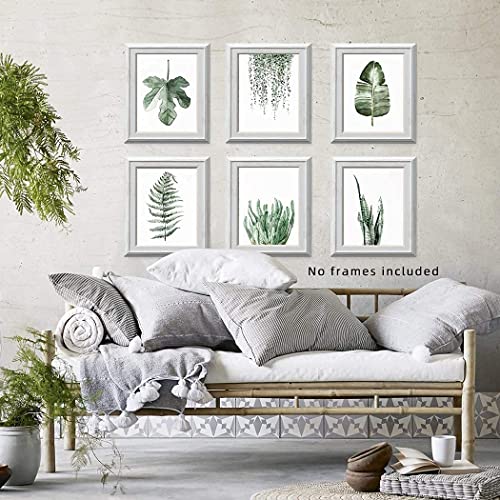 Plant Prints Unframed Posters Wall Art for Living Room Decor, 8x10 Poster Canvas Prints Set of 6, Botanical Prints Wall Art Leaf Posters Sage Green Decor