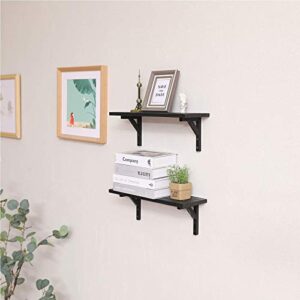 YCOCO Wall Mounted Floating Shelves,Display Ledge, Storage Rack,for Bedroom,Living Room,Bathroom,Kitchen,Office,Black,Set of 2