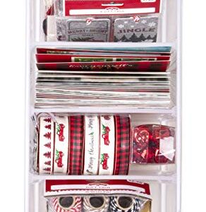 AB Designs 6925ABD Semi Satchel with Removable Dividers, Stackable Home Storage Organization Container, Clear with Sliver Latches and Handle