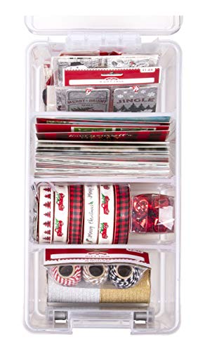 AB Designs 6925ABD Semi Satchel with Removable Dividers, Stackable Home Storage Organization Container, Clear with Sliver Latches and Handle