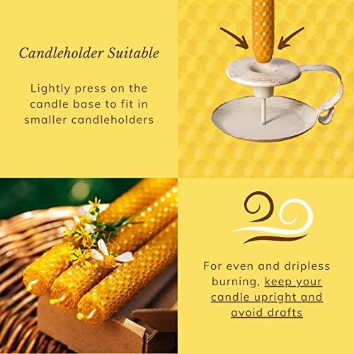 Greenfreshlab Handmade Beeswax Taper Candles - 6 Pack of 10 Inch Candles, Dripless, Smokeless & Soot-Free, 5-6 Hour Burn Time, Natural Honey Scent - Great Dinner Candles, 3 Birthday Candles Included