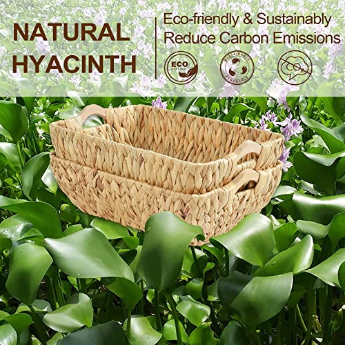 FairyHaus Wicker Baskets with Handles, Natural Wicker Basket for Organizing Shelves, Small Hand Woven Water Hyacinth Storage Baskets Set of 2, 14.96x10.04x5.12"