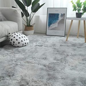 Rainlin Shaggy 3x5 Area Rug Modern Indoor Plush Fluffy Rugs, Extra Soft Comfy Carpets, Cute Cozy Area Rugs for Bedroom Living Room Girls Boys Kids, Grey