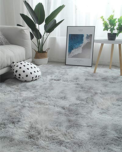 Rainlin Shaggy 3x5 Area Rug Modern Indoor Plush Fluffy Rugs, Extra Soft Comfy Carpets, Cute Cozy Area Rugs for Bedroom Living Room Girls Boys Kids, Grey