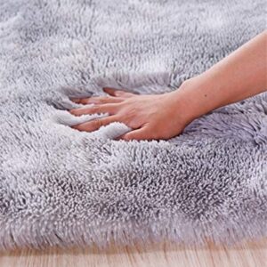 Rainlin Shaggy 3x5 Area Rug Modern Indoor Plush Fluffy Rugs, Extra Soft Comfy Carpets, Cute Cozy Area Rugs for Bedroom Living Room Girls Boys Kids, Grey