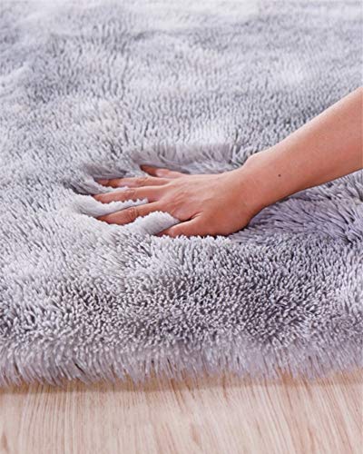 Rainlin Shaggy 3x5 Area Rug Modern Indoor Plush Fluffy Rugs, Extra Soft Comfy Carpets, Cute Cozy Area Rugs for Bedroom Living Room Girls Boys Kids, Grey