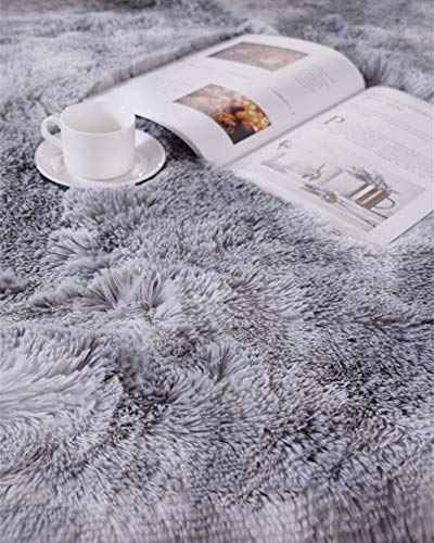 Rainlin Shaggy 3x5 Area Rug Modern Indoor Plush Fluffy Rugs, Extra Soft Comfy Carpets, Cute Cozy Area Rugs for Bedroom Living Room Girls Boys Kids, Grey