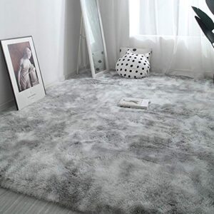 Rainlin Shaggy 3x5 Area Rug Modern Indoor Plush Fluffy Rugs, Extra Soft Comfy Carpets, Cute Cozy Area Rugs for Bedroom Living Room Girls Boys Kids, Grey