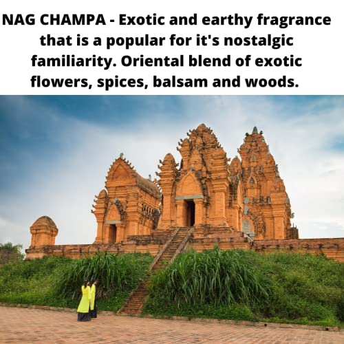 Nag Champa Oil Soy Candles - Large 16 Ounces / All American Handcrafted - Farm Raised Candles - Plant Candle - 80+ Hour Burn - 100% Natural American Farmed Soy Wax Candles. Incense Candle.