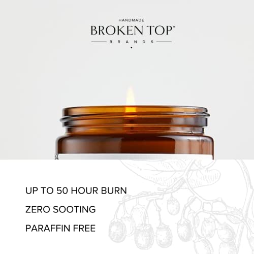 Broken Top - Cranberry Orange|9 oz. Cranberry, Citrus & Spice. Pure Soy Wax Candle. 50-Hour Burn Time. Natural Cotton Wick, Vegan, No Parabens, No Phthalates