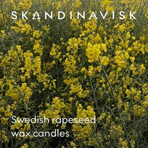 Skandinavisk Skog 'Forest' Scented Candle. Fragrance Notes: Pine Needles and Fir Cones, Birch Sap and Lily of The Valley. 7.0 oz.