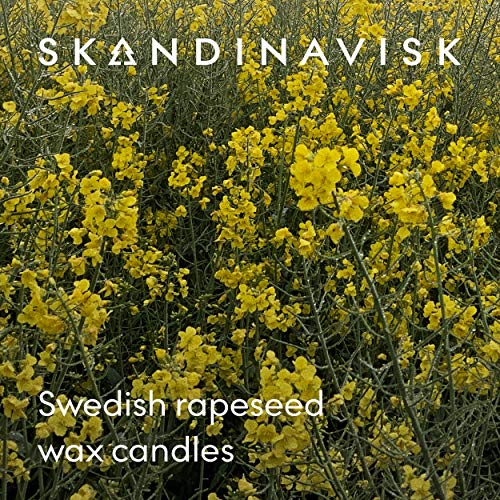 Skandinavisk Skog 'Forest' Scented Candle. Fragrance Notes: Pine Needles and Fir Cones, Birch Sap and Lily of The Valley. 7.0 oz.