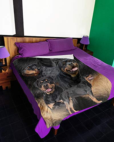 Cholyme LLC Fleece Blanket Rottweiler Dog Hair 60X80 Inch Bed Throw Tapestry Blanket Gift for Christmas, New Years, Dad, Mom, Son, Daughter, Fathers, Mother N2064