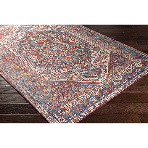 Artistic Weavers Garritt Medallion Oriental Area Rug, 2'3" x 3'9", Red/Blue