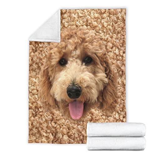 3D Cute Goldendoodle Doodle Funny Dog Mom Gift Premium Quality Sherpa Fleece Throw Blanket 3D Printed Warm Fluffy Cozy Soft Tv Bed Couch Comfy Microfiber Velvet Plush