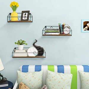 Edenseelake Floating Shelves Wall Mounted Storage Shelf with Metal Wire for Bedroom, Bathroom, Living Room, Kitchen and Office