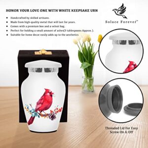 Cardinal Urns White - Mini Keepsake Urns Set of 4 - Premium Box & Bags Included - Small White Urns for Ashes - Honor Your Loved One with Bird Cremation Urns - Perfect for Adults & Infants