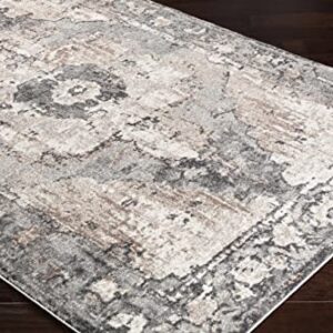 Hartshone Bohemian Farmhouse Living Room Bedroom Dining Room Area Rug - Boho Vintage Distressed - Persian Tribal Style Carpet - Dark Brown, Grey, Tan, Beige, Khaki, Charcoal, Light Black - 6'7" x 9'