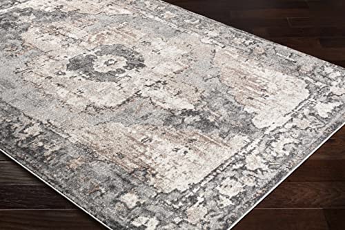 Hartshone Bohemian Farmhouse Living Room Bedroom Dining Room Area Rug - Boho Vintage Distressed - Persian Tribal Style Carpet - Dark Brown, Grey, Tan, Beige, Khaki, Charcoal, Light Black - 6'7" x 9'