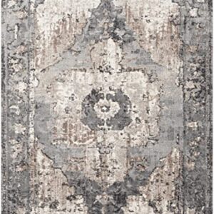 Hartshone Bohemian Farmhouse Living Room Bedroom Dining Room Area Rug - Boho Vintage Distressed - Persian Tribal Style Carpet - Dark Brown, Grey, Tan, Beige, Khaki, Charcoal, Light Black - 6'7" x 9'