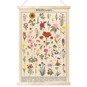 vintage wildflowers poster botanical wall art prints colorful rustic style of floral wall hanging illustrative reference flower chart poster for living room office classroom bedroom dining room decor