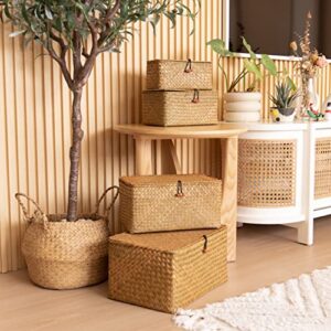 YANGQIHOME 4 Pack, Wicker Baskets with Lids, Nautral Seagrass Storage Baskets, Woven Rectangular Basket Bins, Rattan Storage Organizer for Shelf