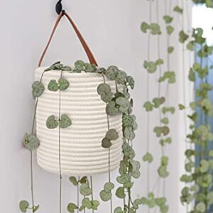 Goodpick Woven Hanging Rope Basket Set (Set of 2)