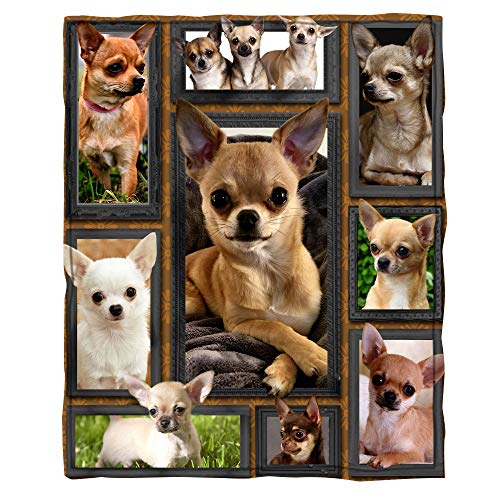 ChriHome Flannel Blanket 3D Chihuahua Dog Blanket Soft Plush Bedding Sofa Couch Throw Blanket Cozy Home Decor Blankets (60'' x 50'')