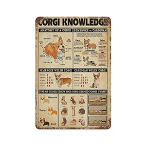 dreacoss retro metal tin sign-corgi knowledge tin sign, corgi knowledge poster, funny corgi dog home decor, corgi lover gift,wall decoration plaques,size 8×12 inches