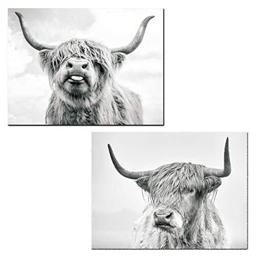 2 Pieces Highland Cow Canvas Wall Art Black and White Poster Art Decor Painting Home Decor for Living Room Office Bedroom(Unframed,16x20 inches)