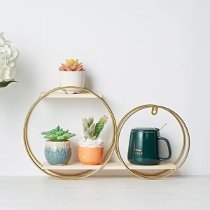 Efavormart 2-Tier Geometric Floating Shelf, Wall Hanging Shelves with Gold Double Hoop Design - 10" H x 18" L for Living Room, Bedroom, Kitchen, Bathroom, Study Room, Garden Sheds, Wall Decoration