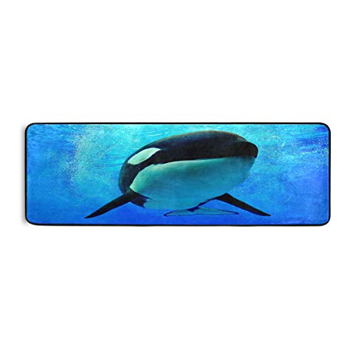 ALAZA Whale Swimming Under Water Collection Area Mat Rug Rugs for Living Room Bedroom Kitchen 2' x 6'